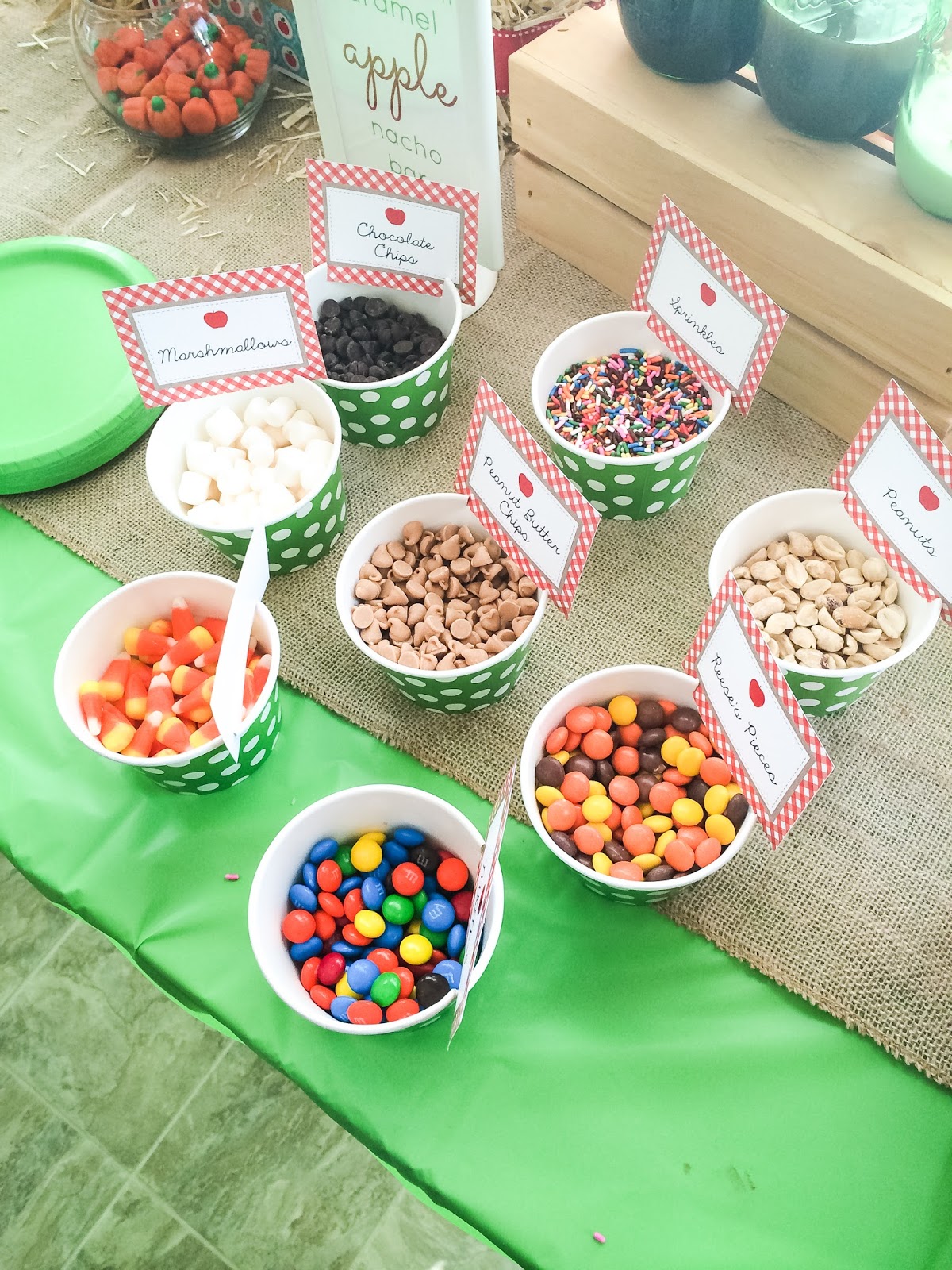 Genevieve's Apple Themed Birthday Party plus a Handy Shopping Guide ...
