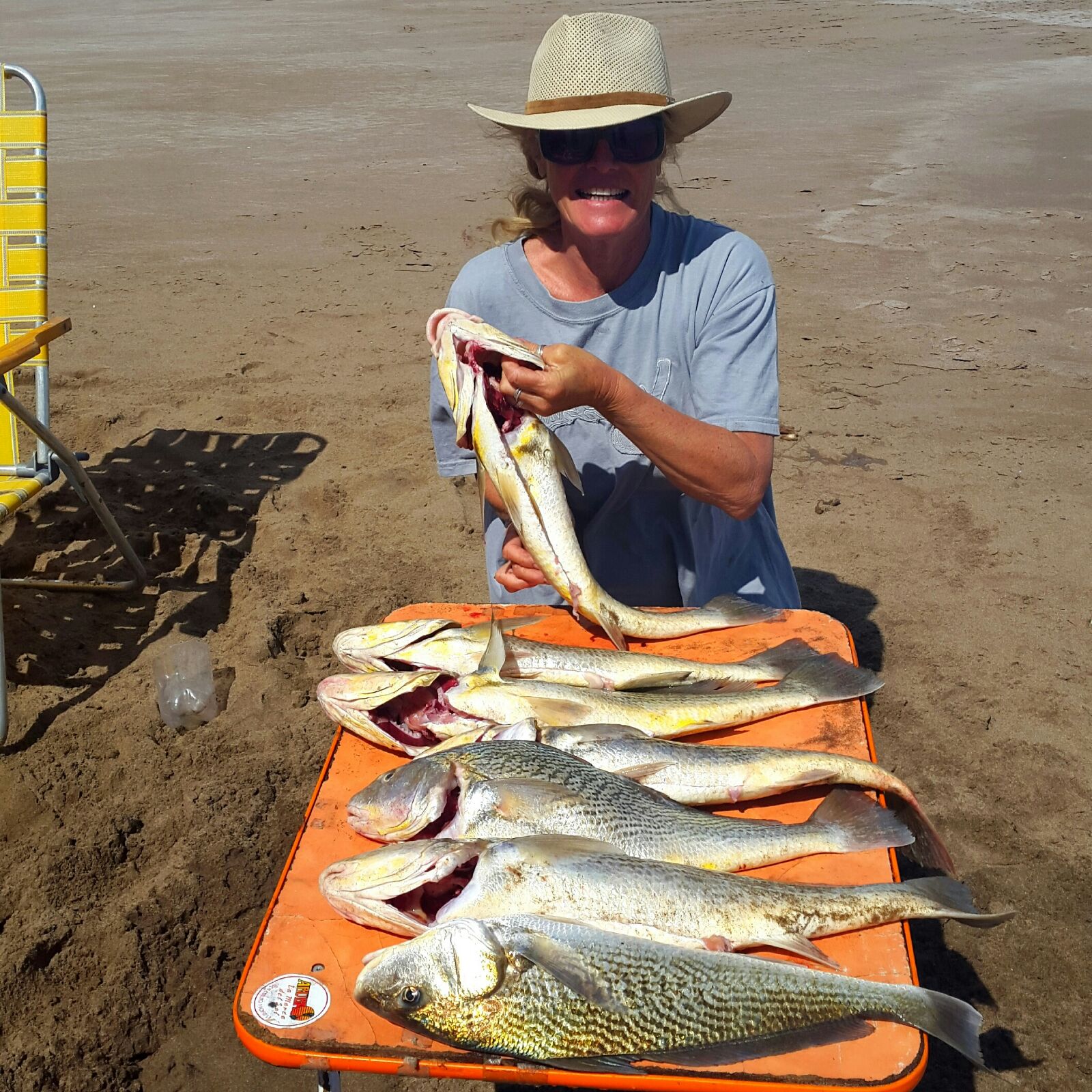 La Casa De La Carnada: Que buena pesca