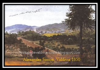 reading carl alexander simon s work auswanderung und deutsch nationale kolonisation von süd ...