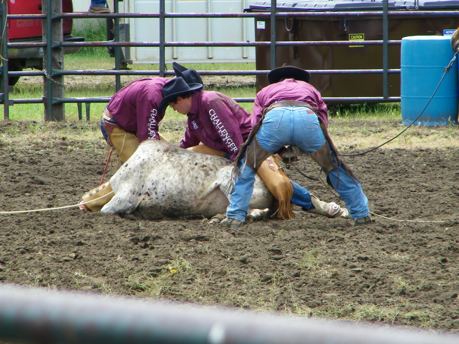 Crazy Town ND Fischer Prairie: Ranch Rodeo...a super fun event at the ...