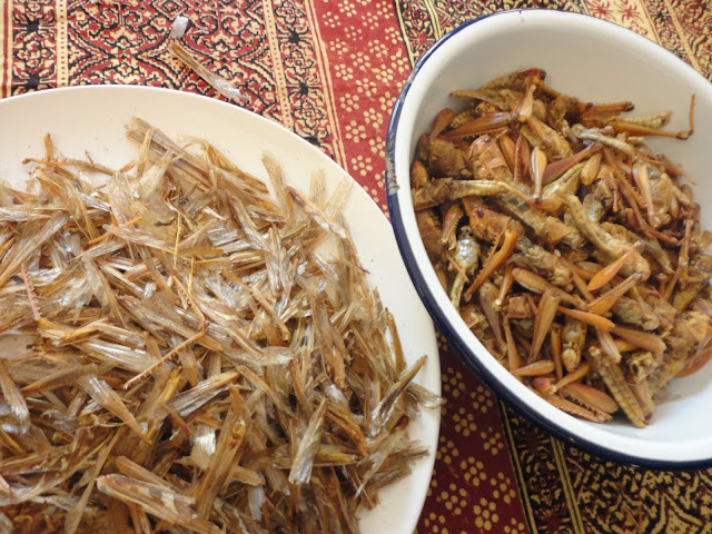 A Moveable Kitchen: Grasshopper - It's What's for Dinner