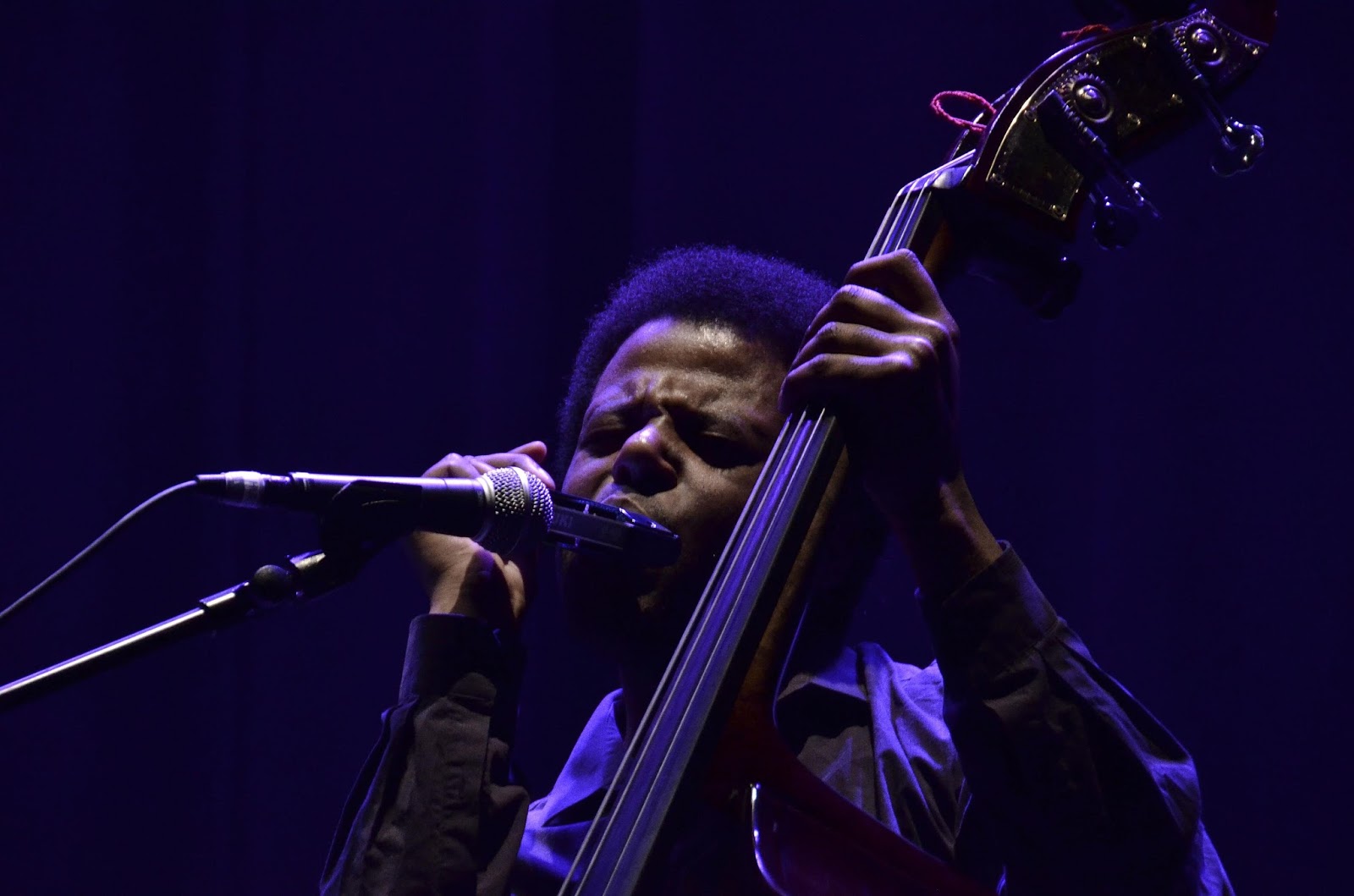 alparceando de fatezas: philip achille