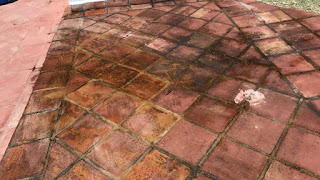 RECUPERACIÓN DE SUELO DE BARRO EXTERIOR EN SIERRA BLANCA (MARBELLA)