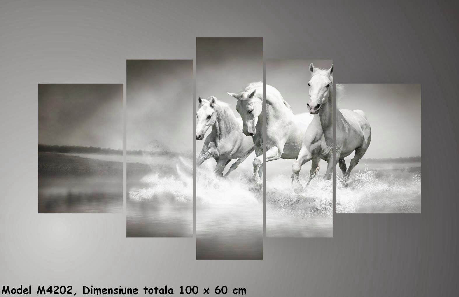 Tablouri Canvas, Tablouri Moderne, Tablouri Decorative, Tablouri ...