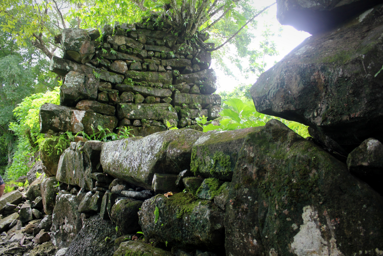 Welcome to the adventurous life of Daria Friday!: #Kosrae, Federated ...