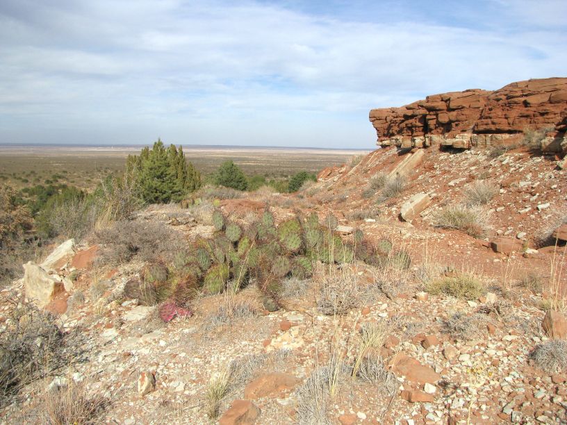 Glass Notes: The Caprock