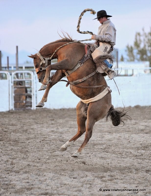Western States Ranch Rodeo Association: Meet the WSRRA Stock Contractors!!