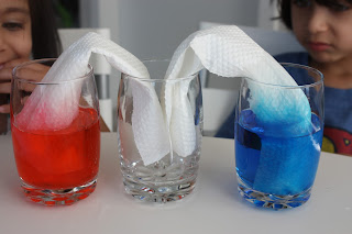 An Absorbing Science Experiment - Workout with Salma