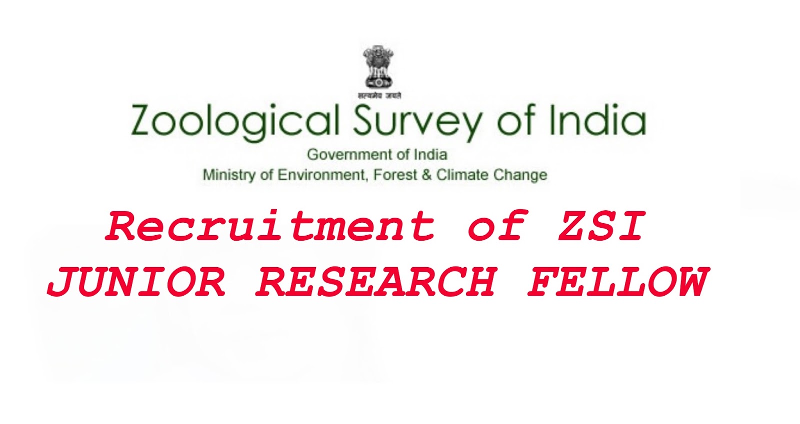 Zoological Survey of India Recruitment of ZSI Junior Research Fellow ...