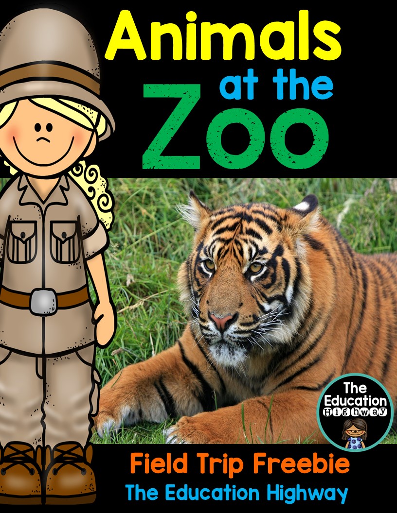 The Education Highway