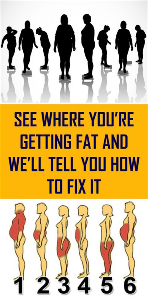scientific facts: SEE WHERE YOU’RE GETTING FAT AND WE’LL TELL YOU HOW ...