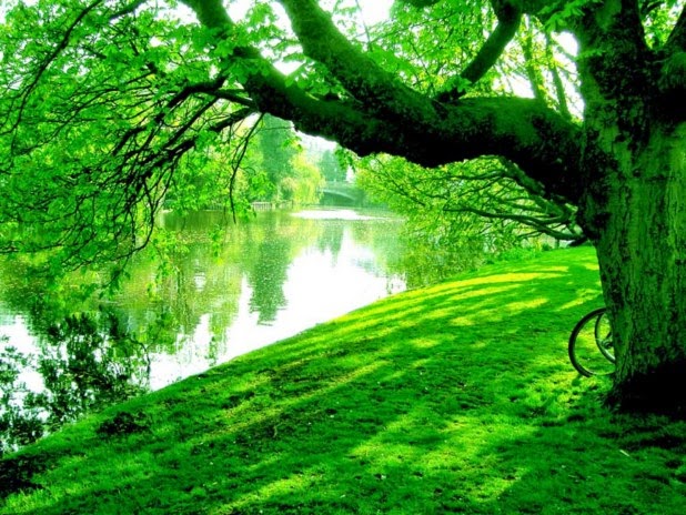 La psicologia del color verde