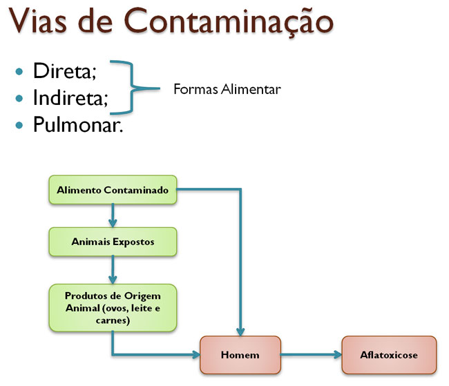"VIGIAR" Vigilância em Saúde : Vigilância de Alimentos: Aflatoxina ...