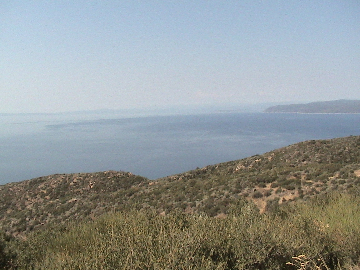 Ξυλεία Καστανιάς, Οικοδομική Ξυλεία - ΙΕΡΑ ΜΟΝΗ ΣΙΜΩΝΟΣ ΠΕΤΡΑΣ - Άγιον ...