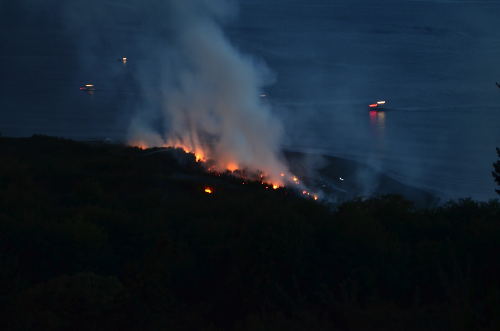 Shoreline Area News: Saltwater Park brush fire makes spectacular burn ...