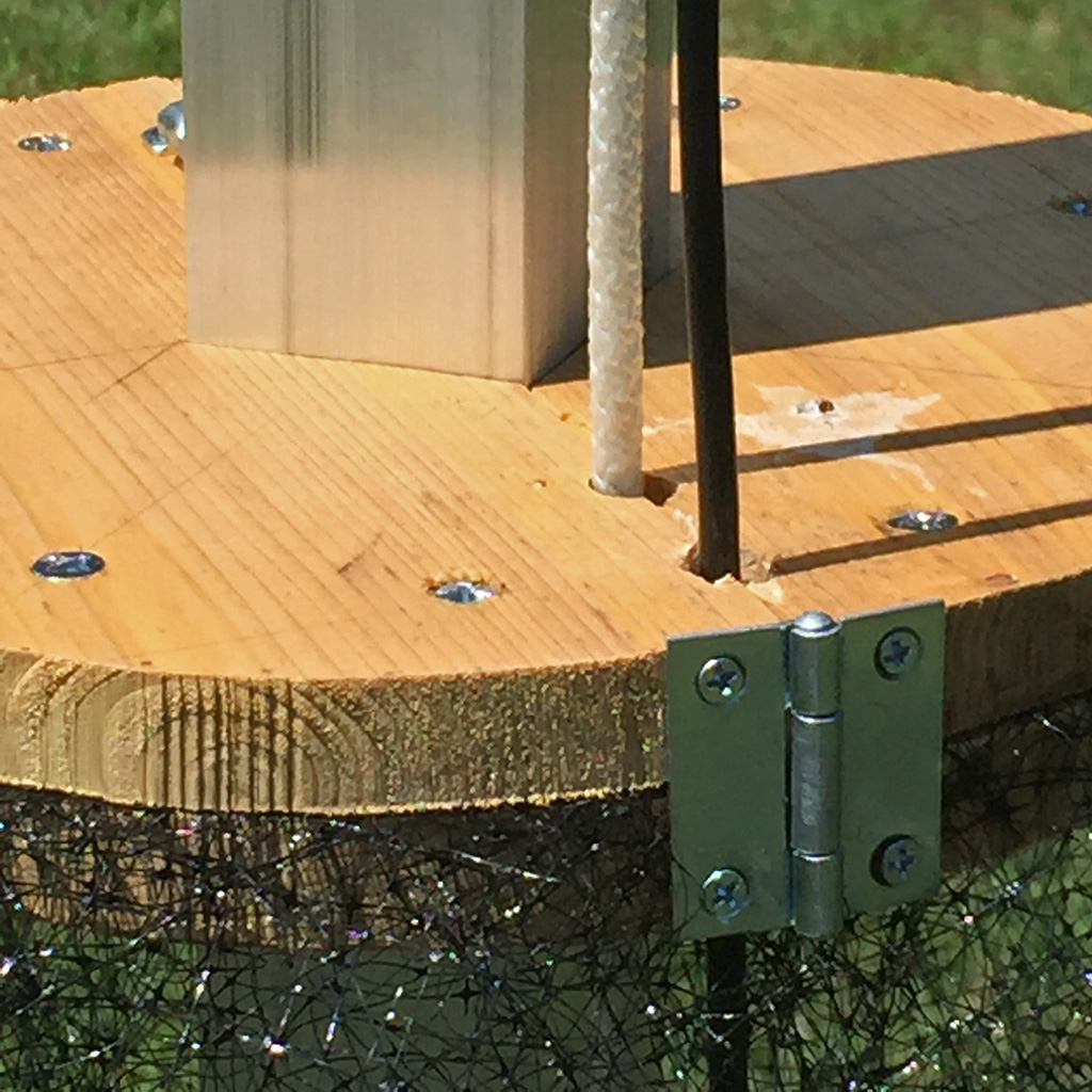 Edward Plumer: Purple Martin Gourd Camera