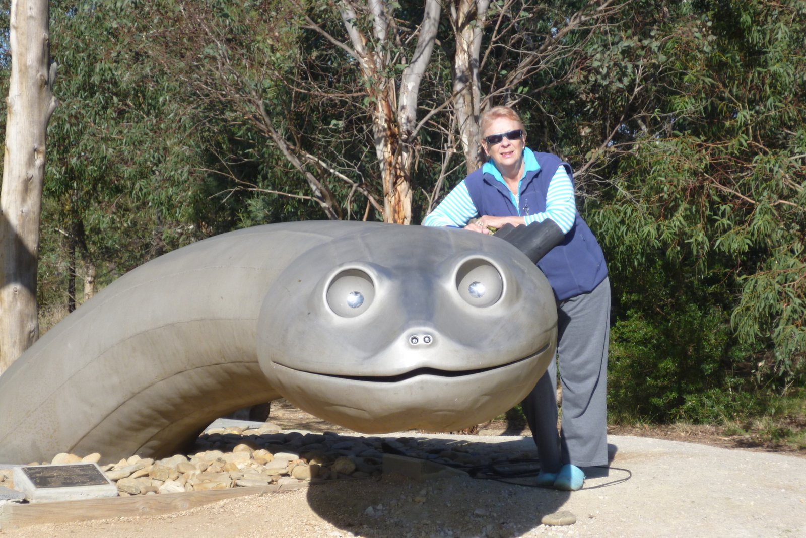 Witchwae on the Move: Turtle pavilion @ Teesdale