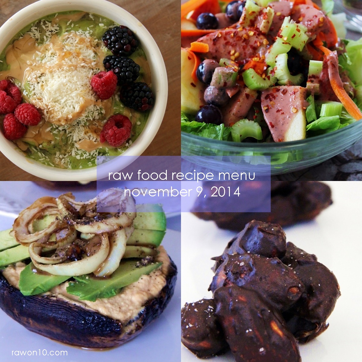 Raw on $10 a Day (or Less!): Raw Food Recipe Menu: November 9, 2014