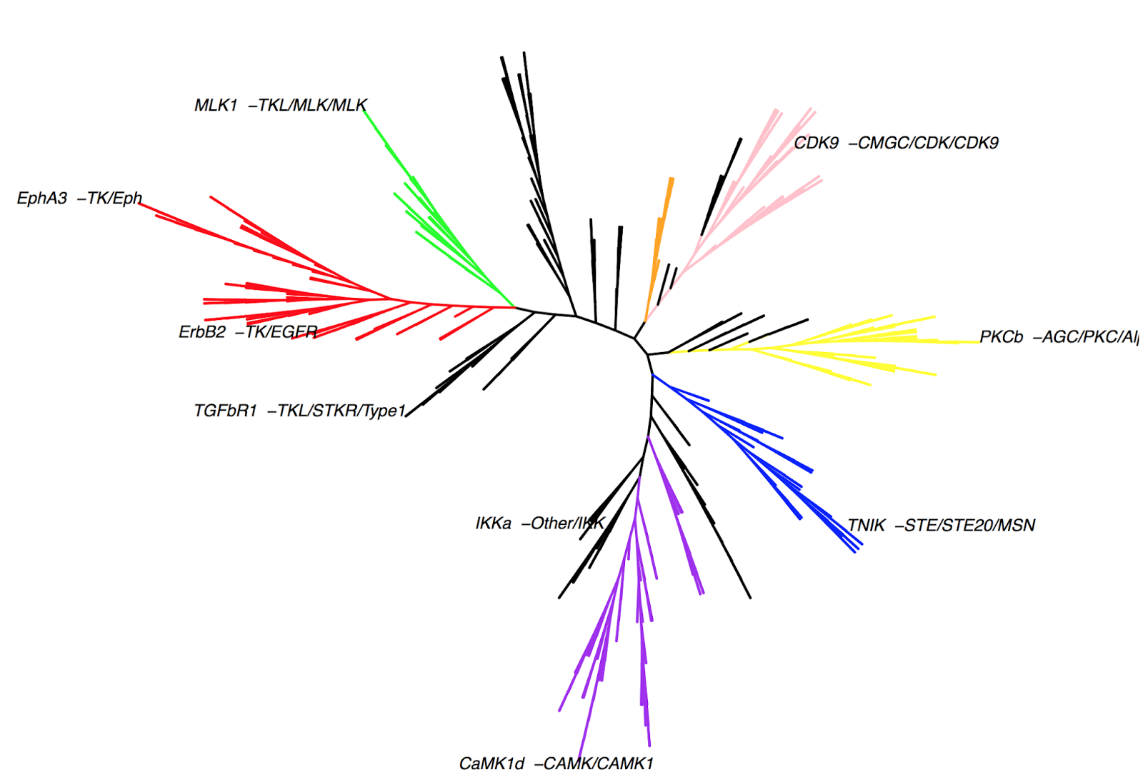 R for Biochemists: Colouring my kinome phylogenetic tree...