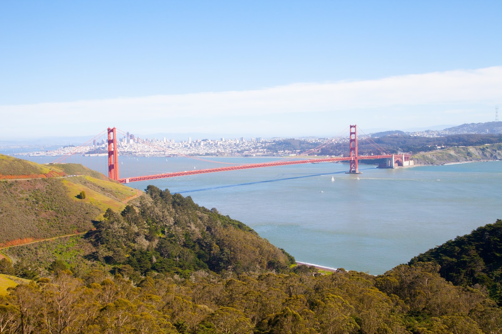 San Fran & Muir Wood Forrest | Avery // Renae