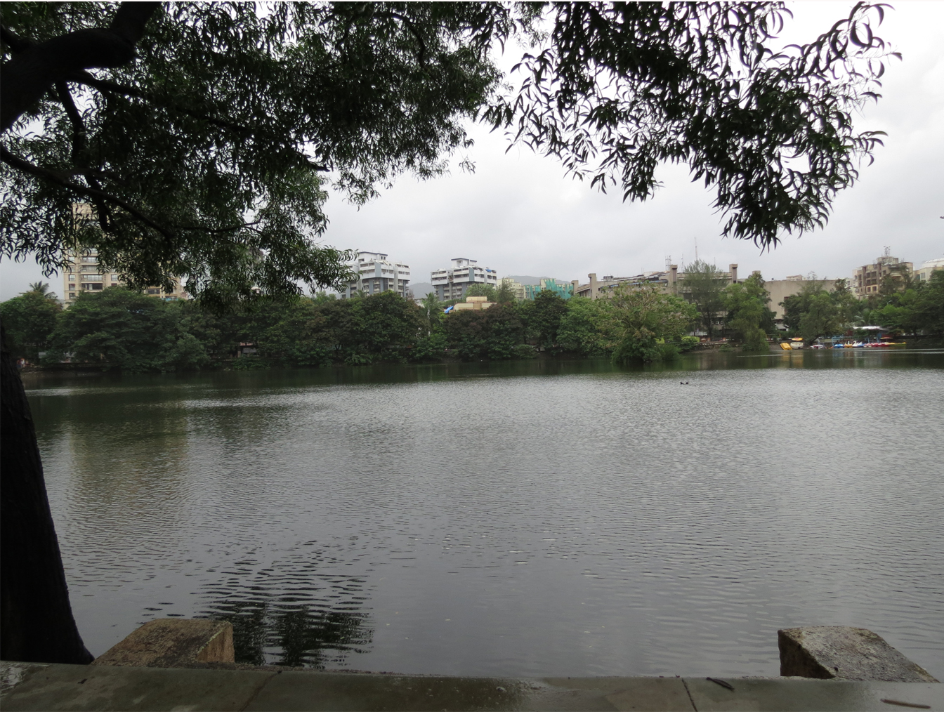 Thane City & District Photos - ठाण्याची संस्कृती: Kacharali Lake Talav ...