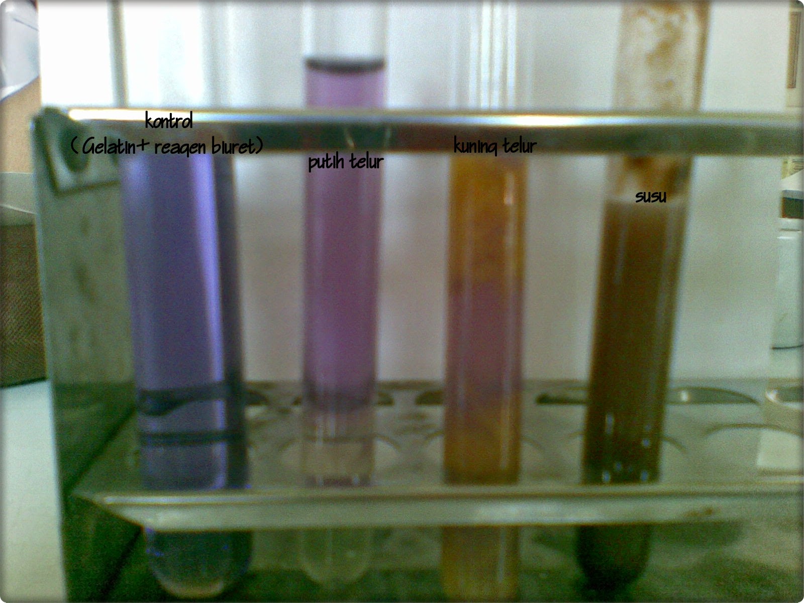 Gudang Laprak Indonesia: PRAKTIKUM BIOLOGI : UJI MAKANAN