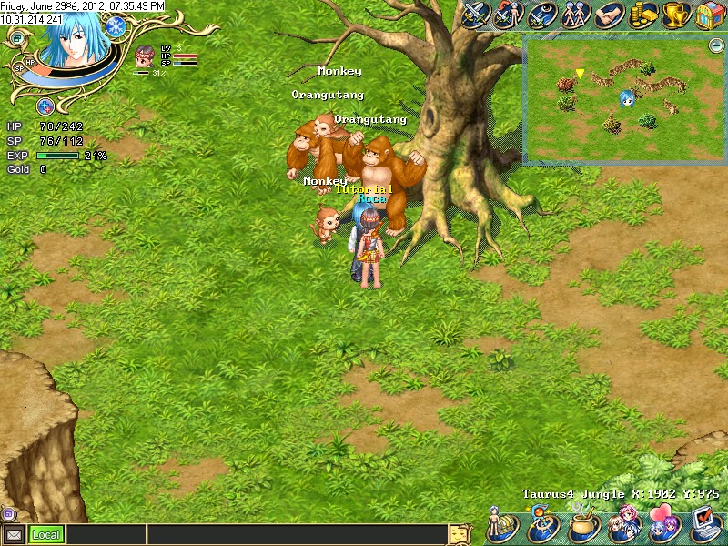 Wonderland Online Game Guide: Death Quest of Monkey