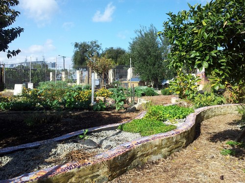 Sustainable Sisters Team: Perth City Farm