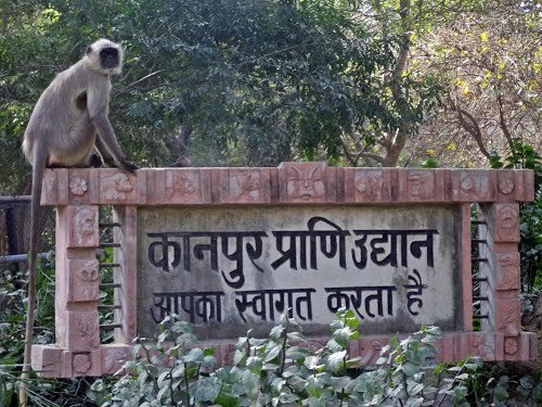 Famous Allen Forest Zoo OR Kanpur Zoo - World Famous Zoo