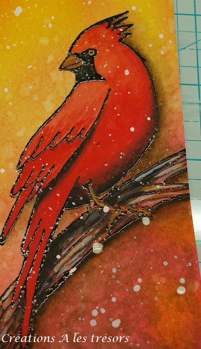 Magenta: L'amitié avec mon joli Cardinal avec Nuance