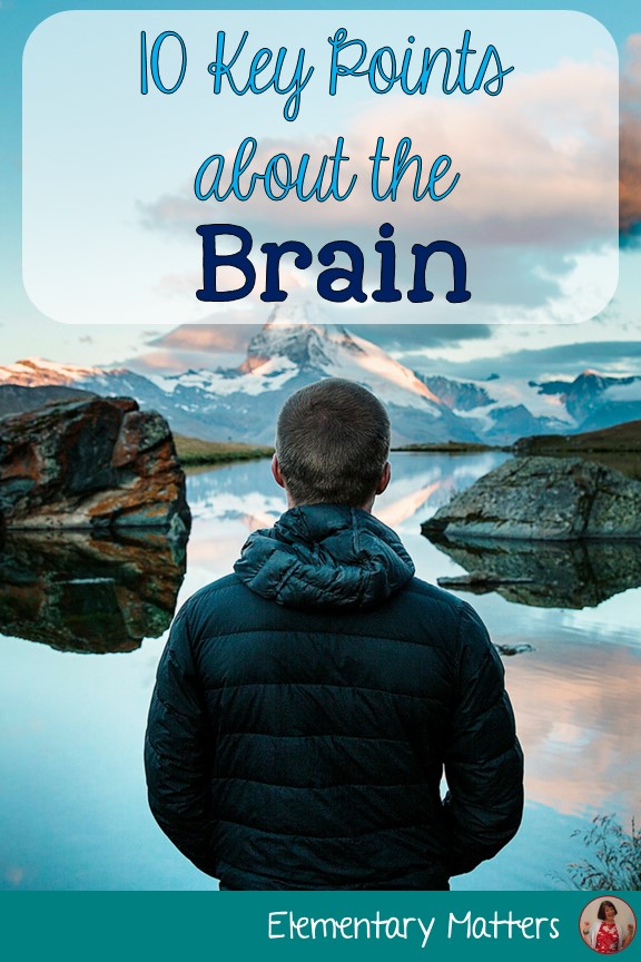 Elementary Matters: 10 Key Points About the Brain