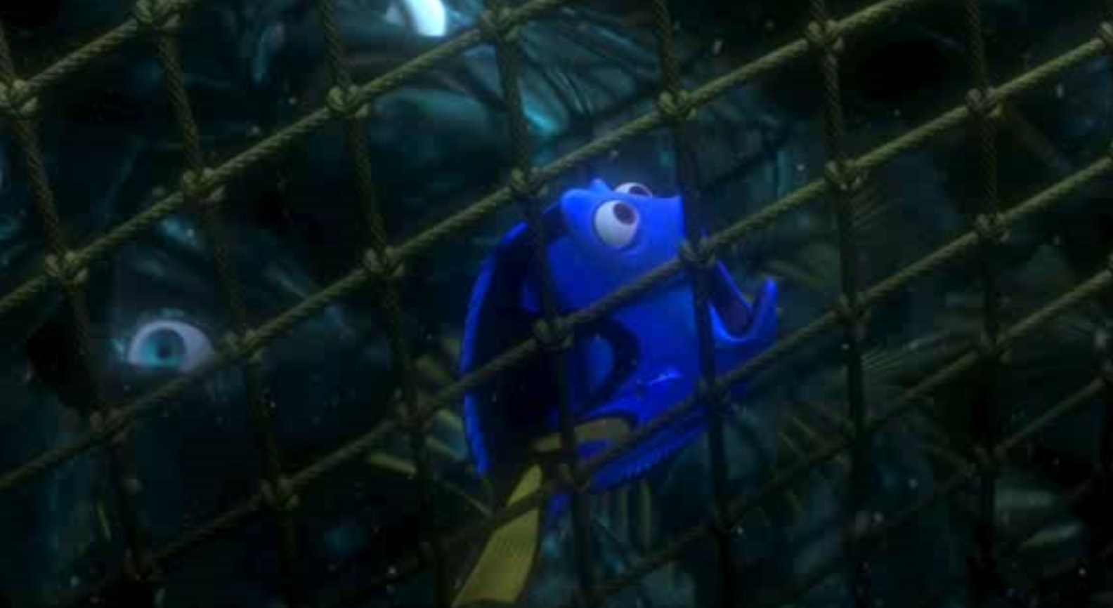 Verde Zona: Cine Ambiental; Buscando a Nemo