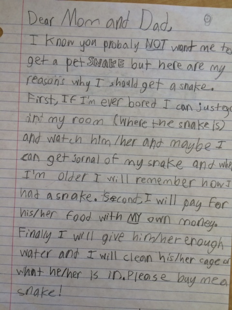 Persuasive Writing Samples Year 3 Nursingdissertation x fc2 persuasive-writing-samples-year-3-nursingdissertation-x-fc2