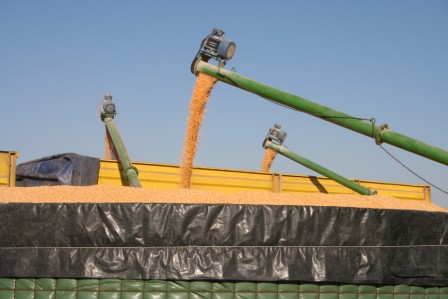 RSA SEED & GRAIN: Grain Dams