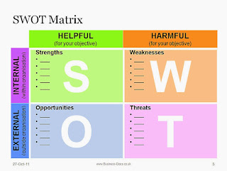 Dixon's Business and Management : Organisation and strategy