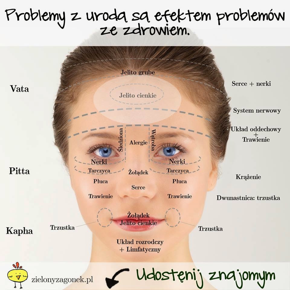Mandala Życia: Mapa twarzy