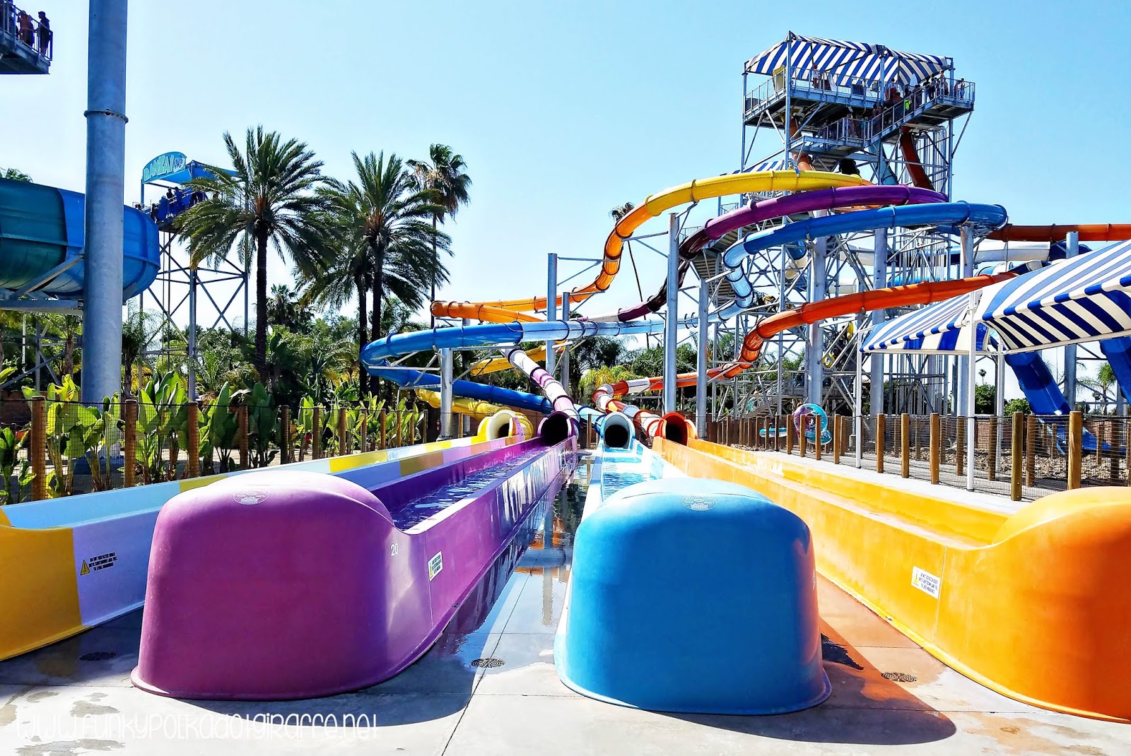 Funky Polkadot Giraffe: Top 10 Tips for Enjoying a Day at Knott's Soak ...