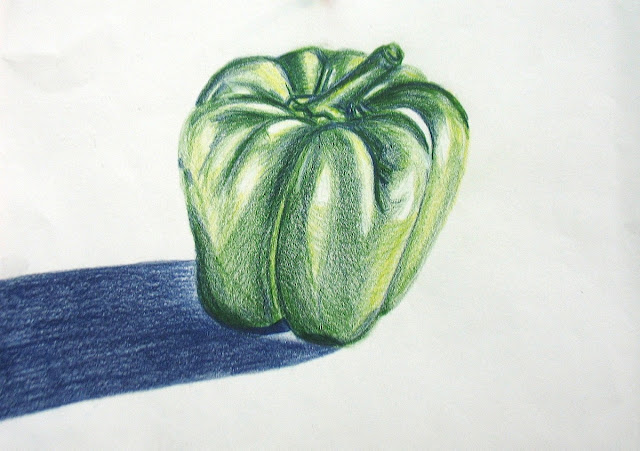 Introduction to Studio Art: Project 3: Bell Pepper Drawing