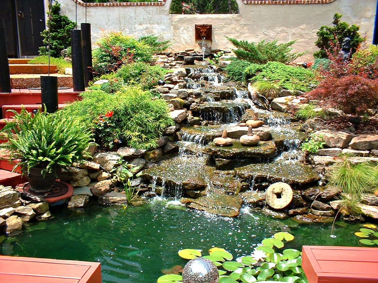 Visionary Aquatic Designs: One of my favorite projects ~Donnagon's Slough!