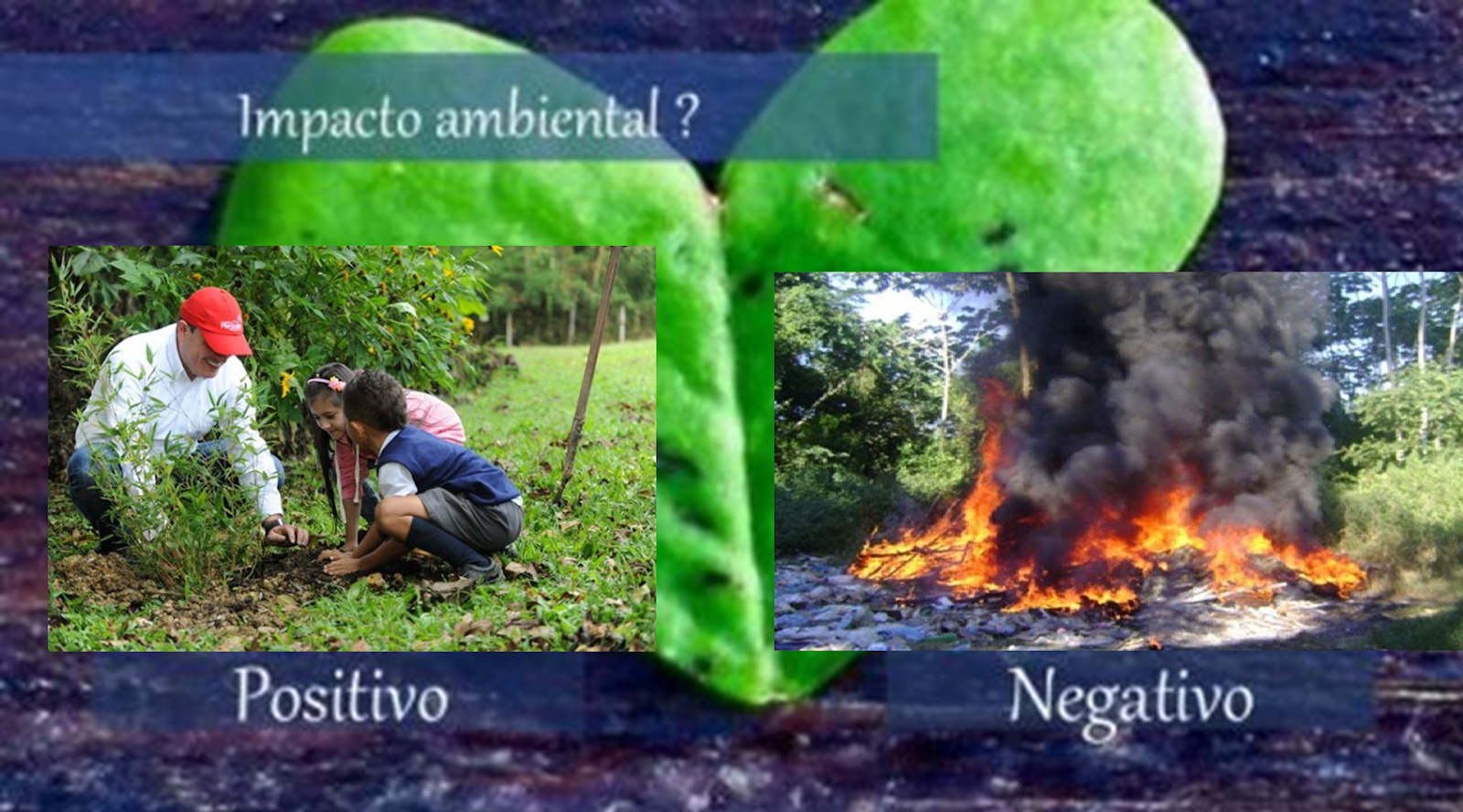 COLLAGE DEL IMPACTO DEL HUMANO EN LA NATURALEZA