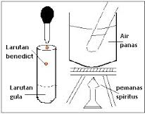 BIOLOGY GROUP XI IPA RSBI 2: Uji Makanan