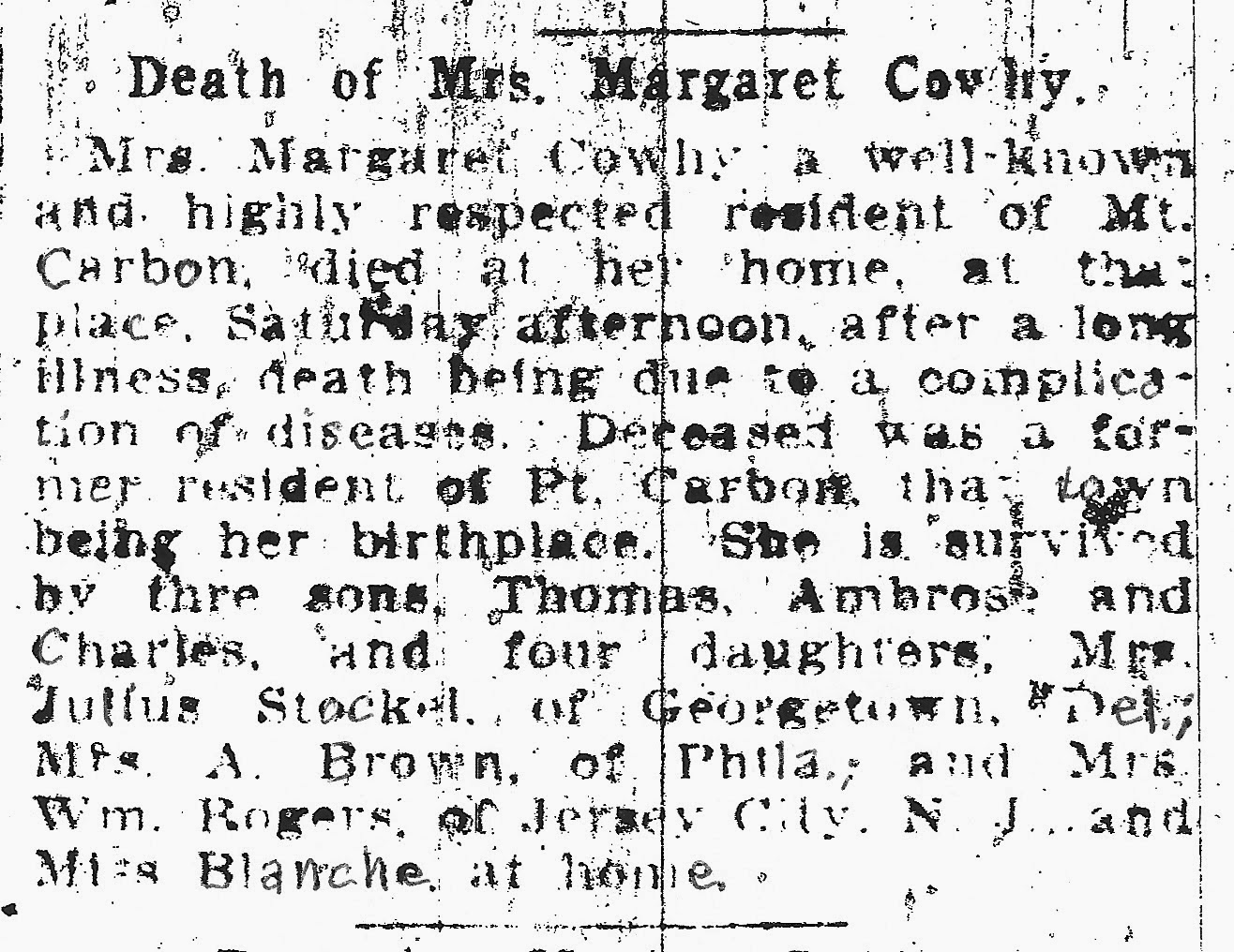 Small-leaved Shamrock: Mother to 15, Widow at 38: My discovery of the ...