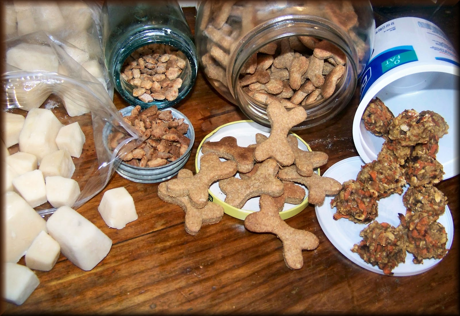 Recycled Soup: Furry Feeding Frenzy