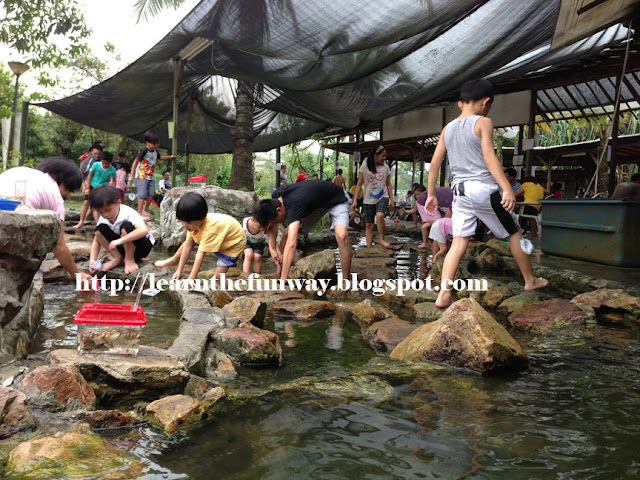 Catching Longkang fish at Bottle Tree Yishun, so much fun! | Learn The ...