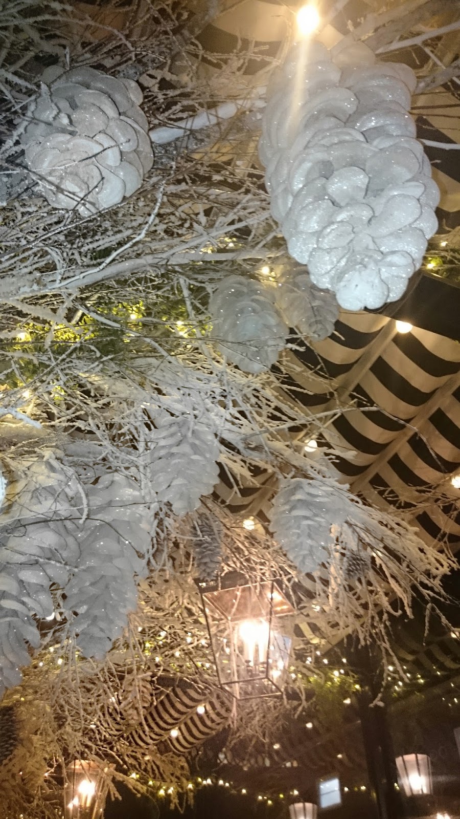 Dalloway Terrace Winter Wonderland - The Life of a Social Butterfly ...