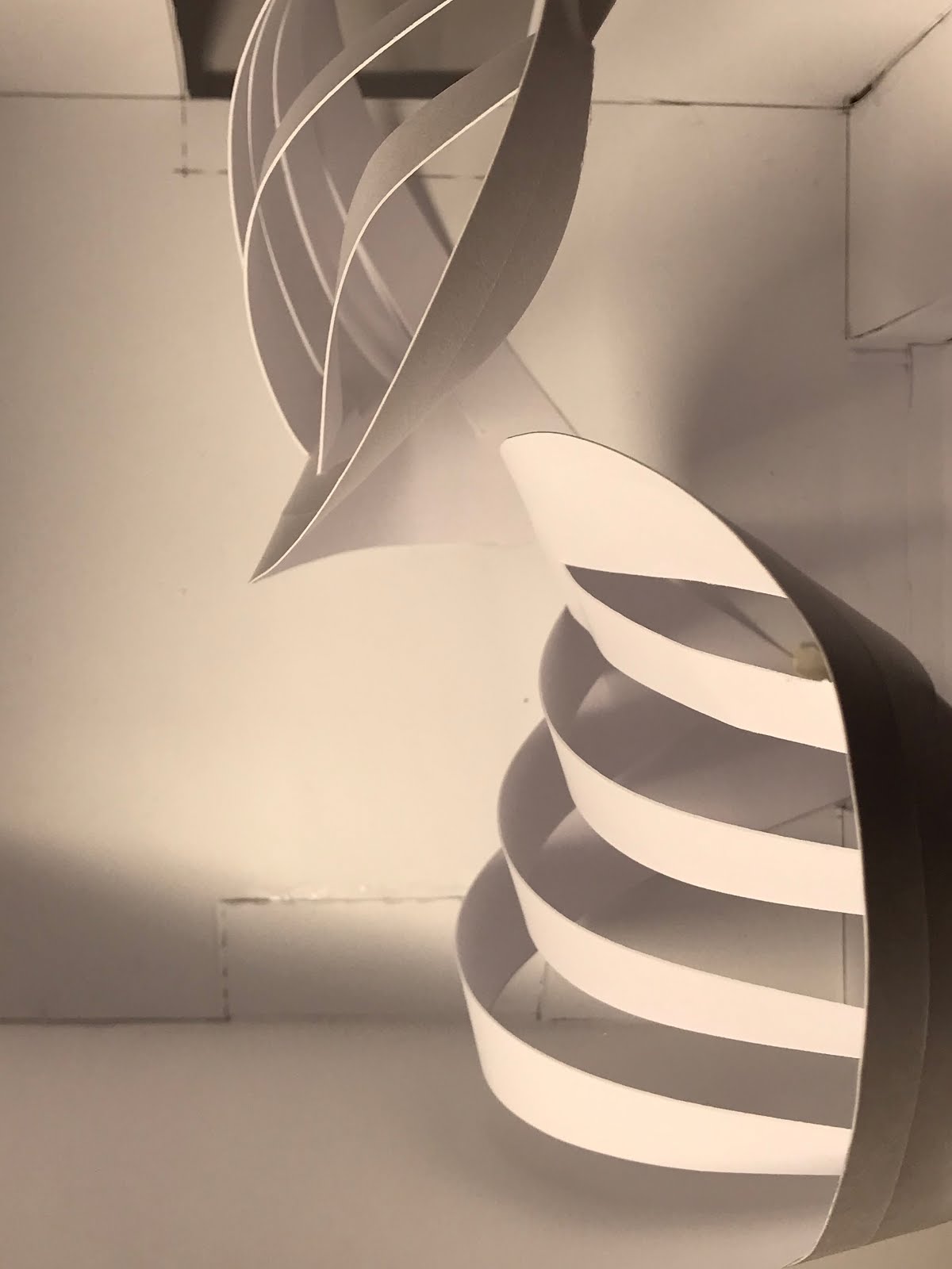 BENV1010 Eleanor Thornton