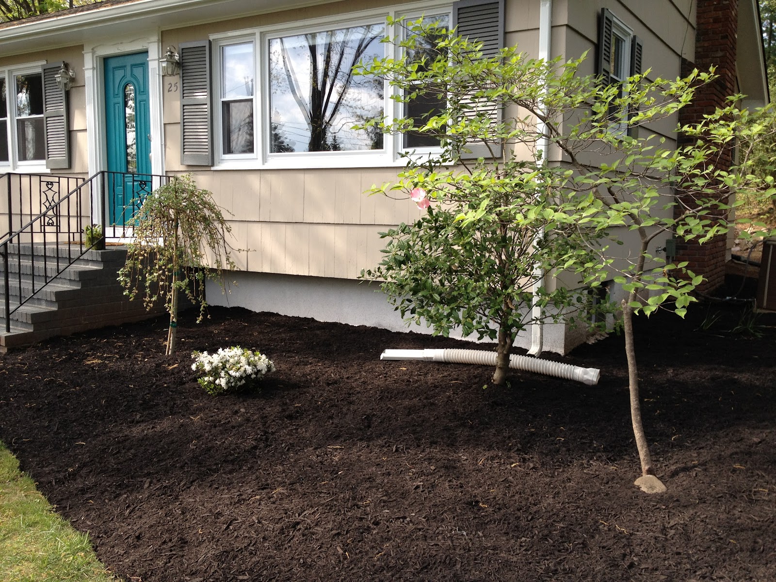The Magic of Mulch! - Living Houses
