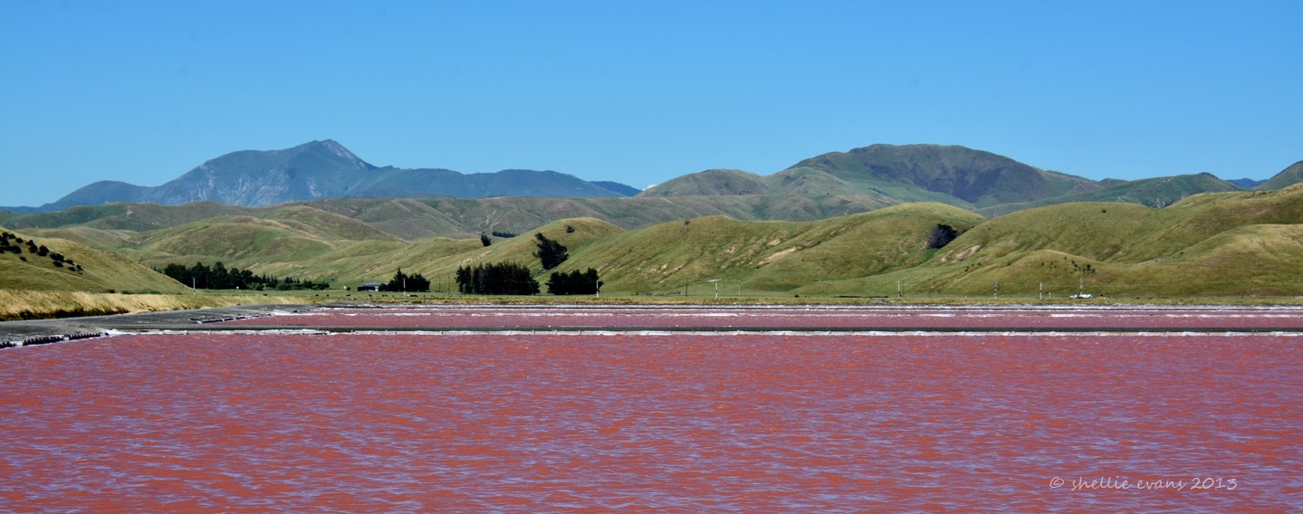 Two Go Tiki Touring: Pink Ponds & the Salt Shaker