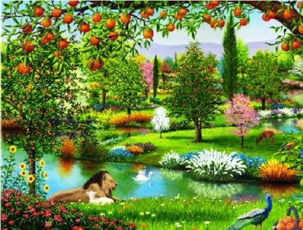 Reflexões Evangélicas: CONHECENDO A CIDADE CELESTIAL