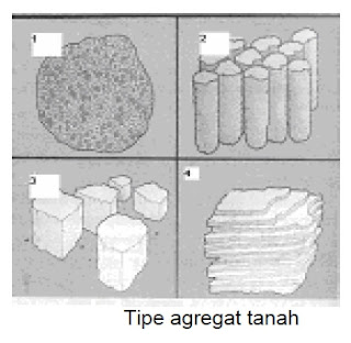 Profil Tanah dan Kimia Tanah - Agro Eksplor